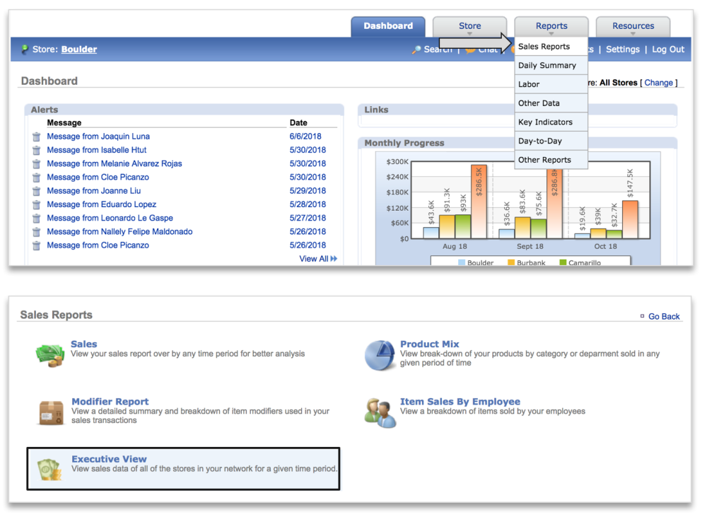 Executive View Sales Reporting - Store User Guide - 2