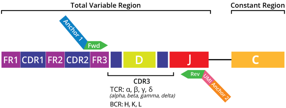 DriverMap™ AIR DNA Profiling - DriverMap™ AIR Technology Guide - v1