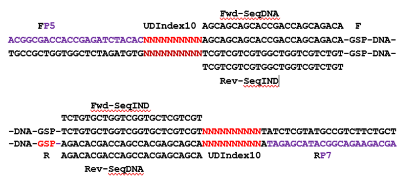 Appendix B. Structure of Amplified Indexed Library - DriverMap™ EXP Human Genome-wide 19K ...