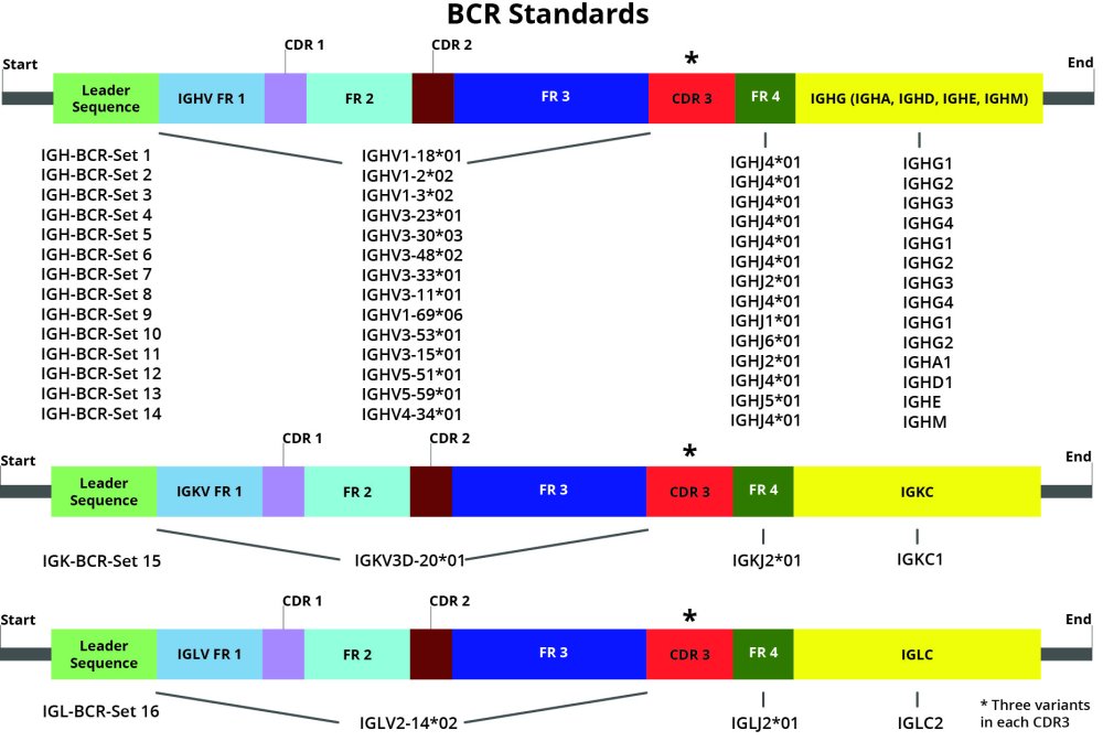 Design of AIR Spike-in Controls - DriverMap™ AIR TCR-BCR Spike-in ...
