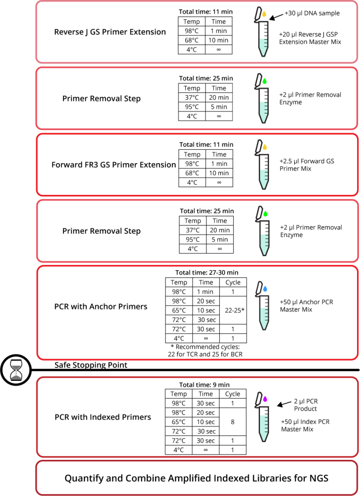 Outline of DriverMap™ AIR DNA Protocol - DriverMap™ AIR TCR-BCR Profiling Kit (Human DNA) - V2 - v1