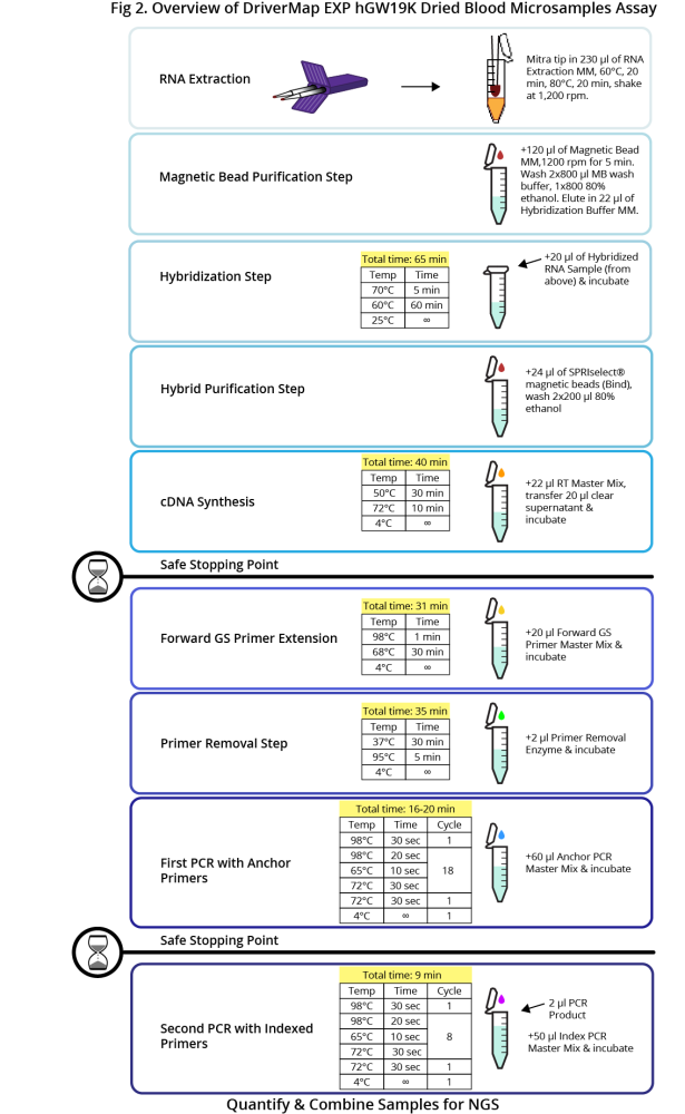 Protocol Outline - DriverMap™ EXP Human Genome-wide 19K Profiling Kit (hGW19K) for Dried Blood ...