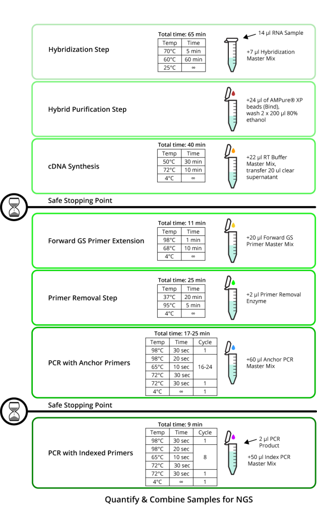 Outline of DriverMap™ AIR RNA Protocol - DriverMap™ AIR TCR-BCR Profiling Kit (Human/Mouse RNA ...