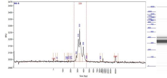 QC, Quantify and Combine Samples for NGS - DriverMap™ AIR RNA CDR3 TCR ...