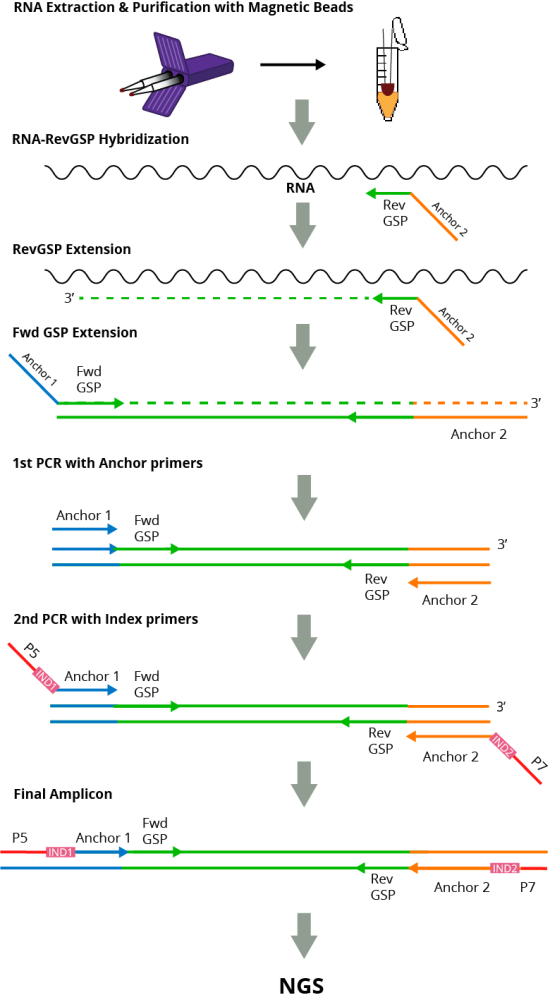 DriverMap™ EXP Human Genome-wide 19K Dried Blood Microsamples Profiling ...