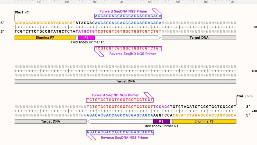 Appendix B. Sequence of Amplicon after Index Primer PCR - DriverMap™ Targeted Expression ...
