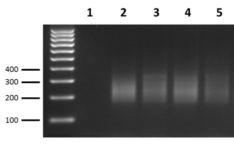 Quantify and Combine Samples for NGS - DriverMap™ Targeted Expression Profiling Kits - v1a