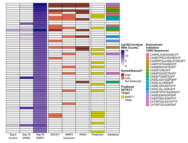 Predict peptide-stimulated TCRs - Technical Guide: Screening Antigen ...