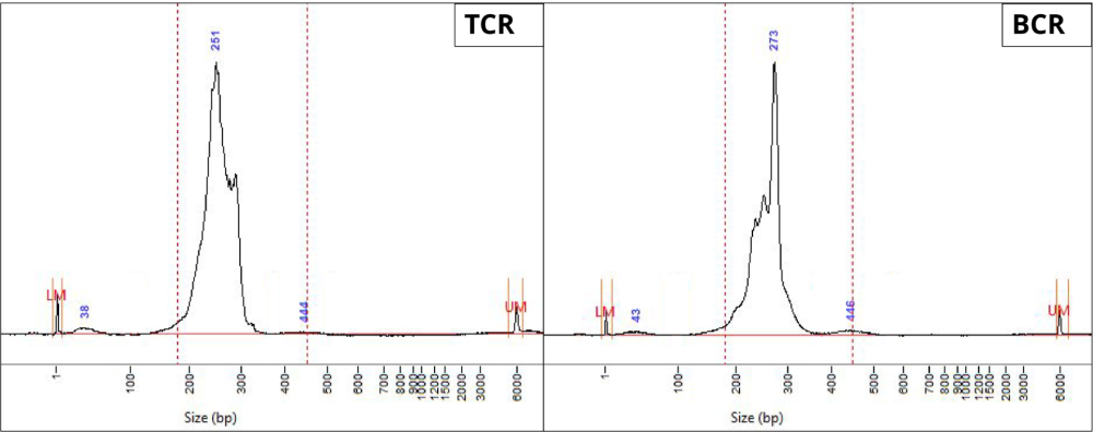 Quantify and Combine Samples for NGS - DriverMap™ AIR DNA CDR3 TCR-BCR ...