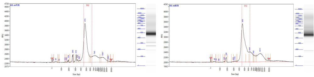 QC, Quantify and Combine Samples for NGS - DriverMap™ Single-cell AIR TCR-BCR Chain Pairing ...