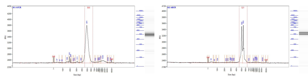 QC, Quantify and Combine Samples for NGS - DriverMap™ Single-cell AIR TCR-BCR Chain Pairing ...