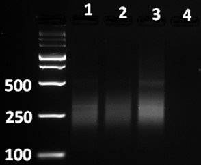 QC, Quantify and Combine Samples for NGS - DriverMap™ EXP Human Genome-wide 19K Profiling Kit ...