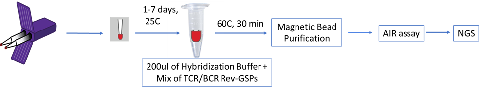Profiling Whole Blood Microsamples - DriverMap™ AIR Technology Guide - V2 - v1