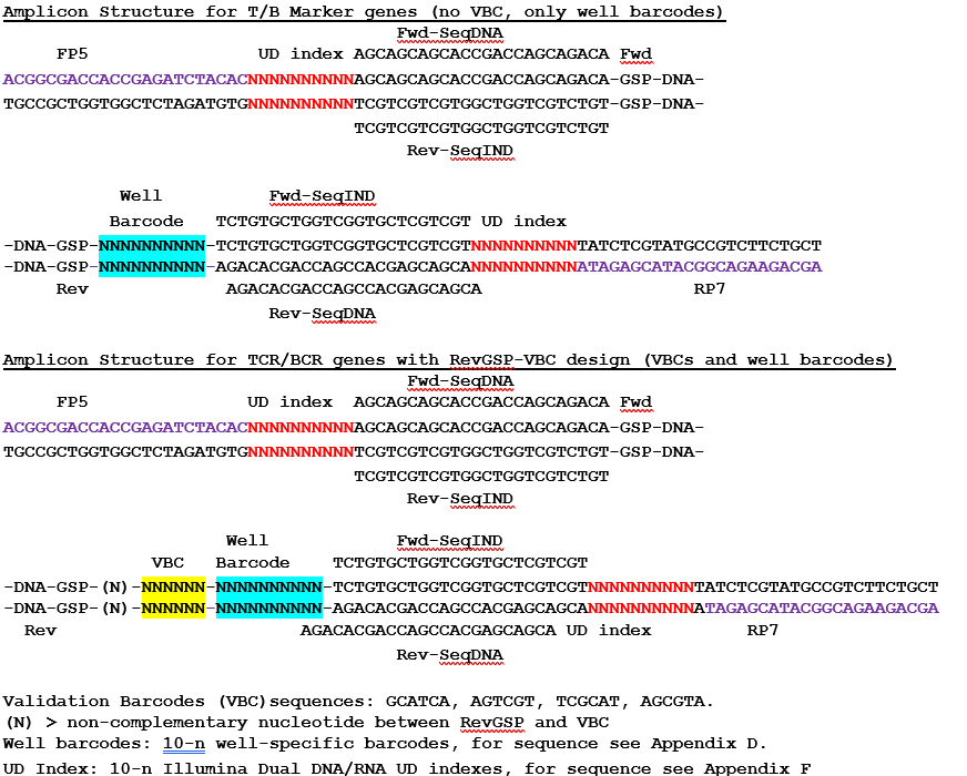 Appendix B. Structure of Amplified Indexed Library - DriverMap™ Single-cell AIR TCR-BCR ...