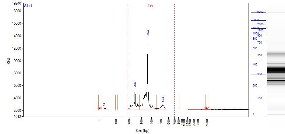QC, Quantify and Combine Samples for NGS - DriverMap™ Single-cell AIR TCR-BCR Immunophenotyping ...